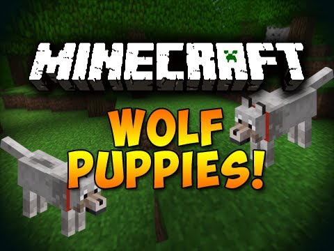 Minecraft: Wolf Puppies! (1.2.3) | iJevin - YouTube