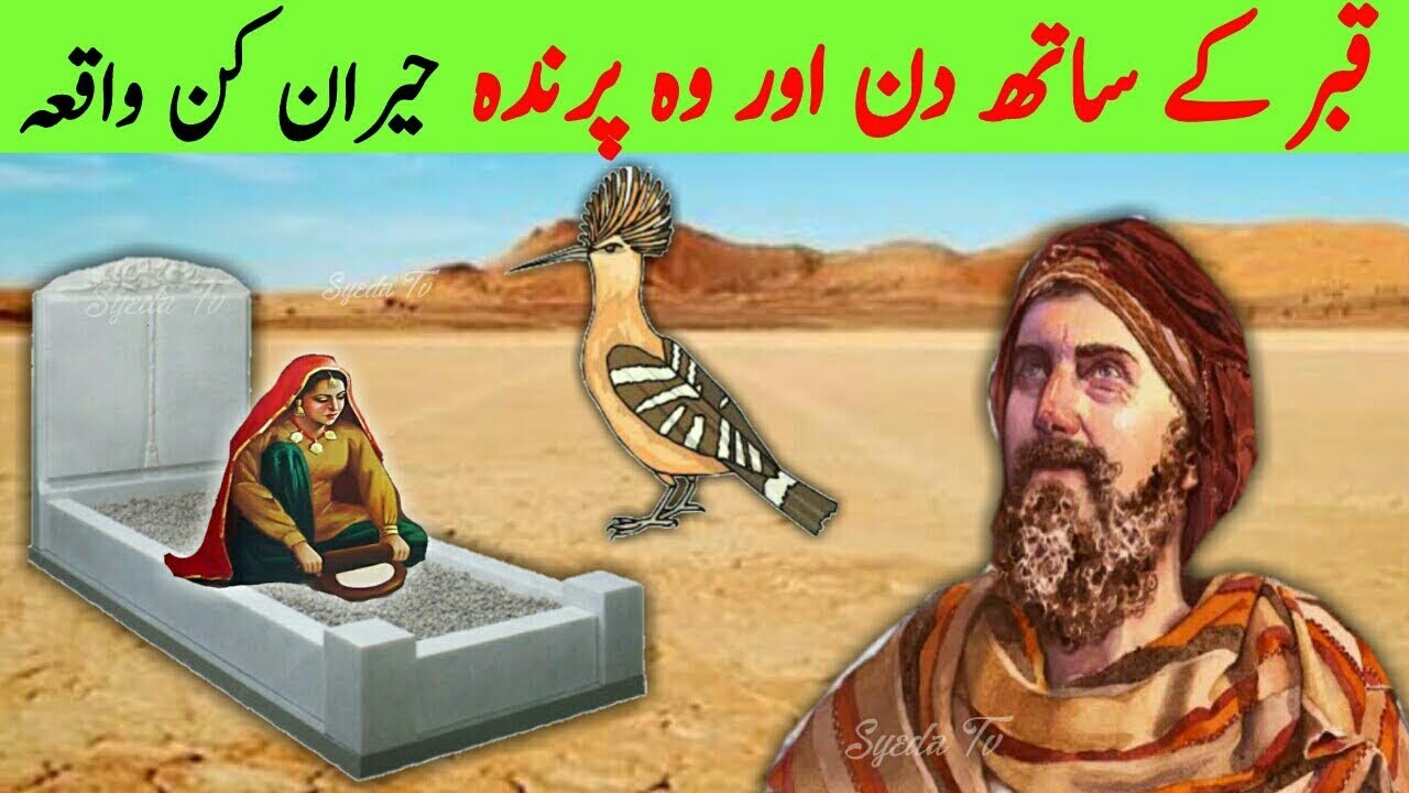 Qabar ke 7 Din AUR Wo Parinda || 7 days Of Grave and Bird || Al Quran ...