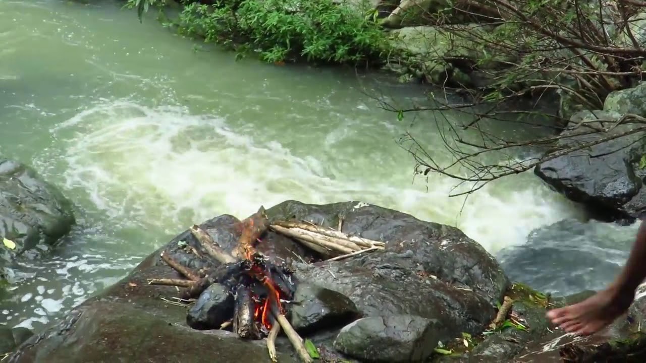 Primitive Technology Shoot fish by Arrow in water Cooking fish eating ...