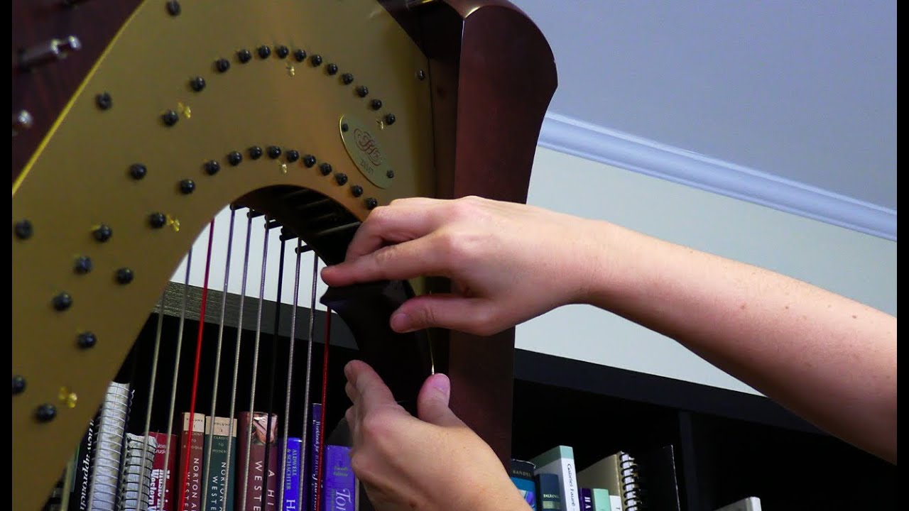 How to Remove the Action Block of a Pedal Harp, Harp Care, Maintenance ...