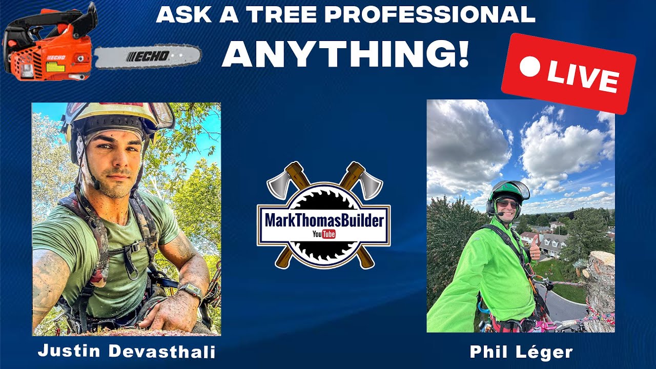 Ask A Tree Professional Anything! (Previously recorded livestream ...