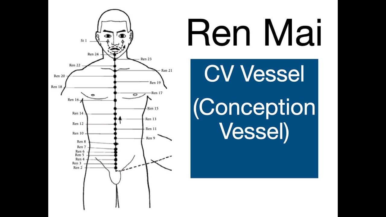 Conception vessel (CV vessel) & quiz on Dai mai & Chong mo 25 Sept 2024 ...