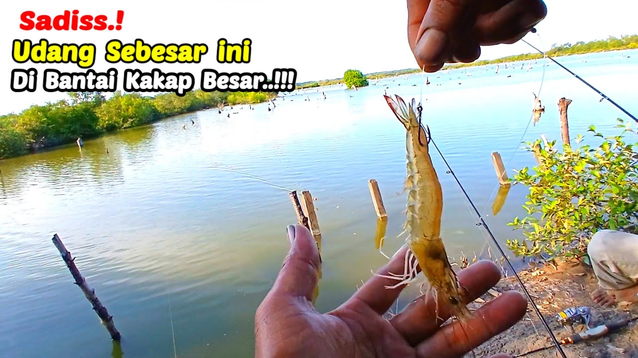 INI PENAMPAKAN SPOT KAKAP PUTIH BESAR BESAR,, PALING BRUTAL..!!! - YouTube