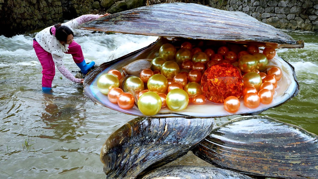 🎁🎁The girl pried open the giant clam and found countless charming ...