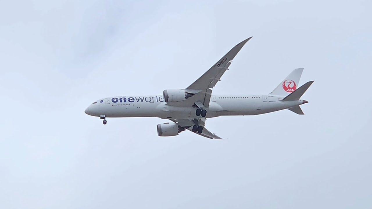 *One World* Japan Airlines Boeing 787-9 Landing in San Diego - YouTube