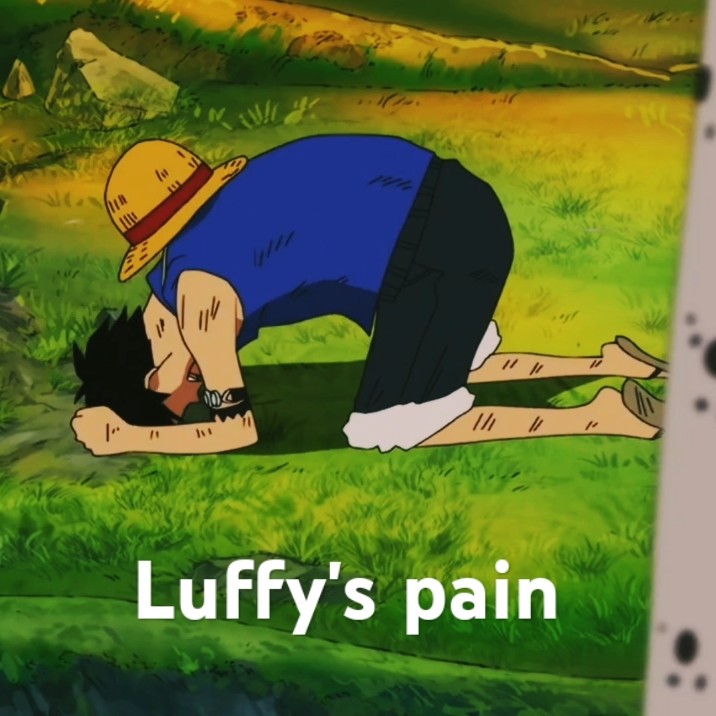 Luffy's Heartbreaking Breakdown: The Agony of Losing His Crew | One ...