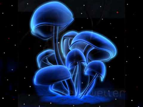 Celldweller - Switchback (Growling Machines Rmx) - YouTube