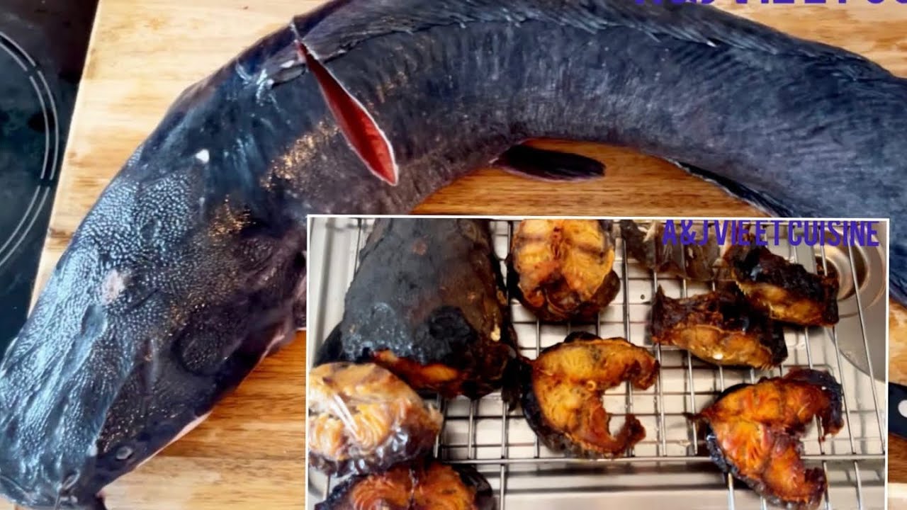 comment fumer le poisson-chat - YouTube
