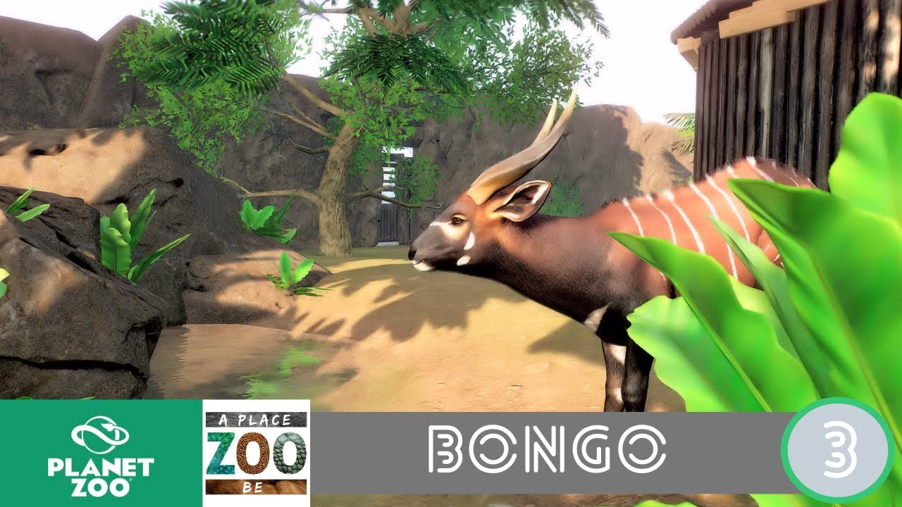 Turnaround view on Bongo Habitat - Planet Zoo Franchise - S01E03 - YouTube