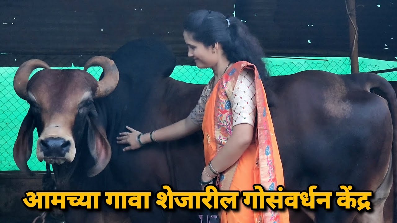आमच्या गावा शेजारील गोसंवर्धन केंद्र आयुर्वेदिक औषध / पंचकर्म / तूप 😍 ...