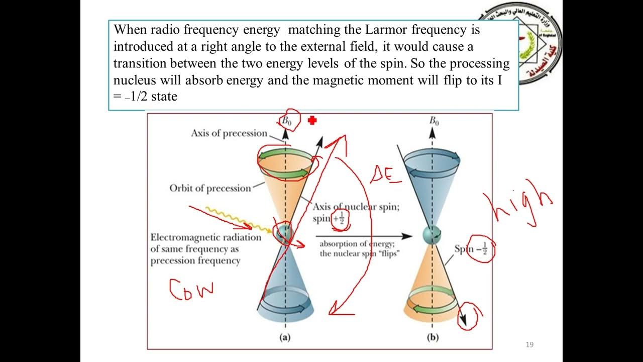 NMR Spectroscopy Basic Theory Lecture 1 (Part B) - YouTube