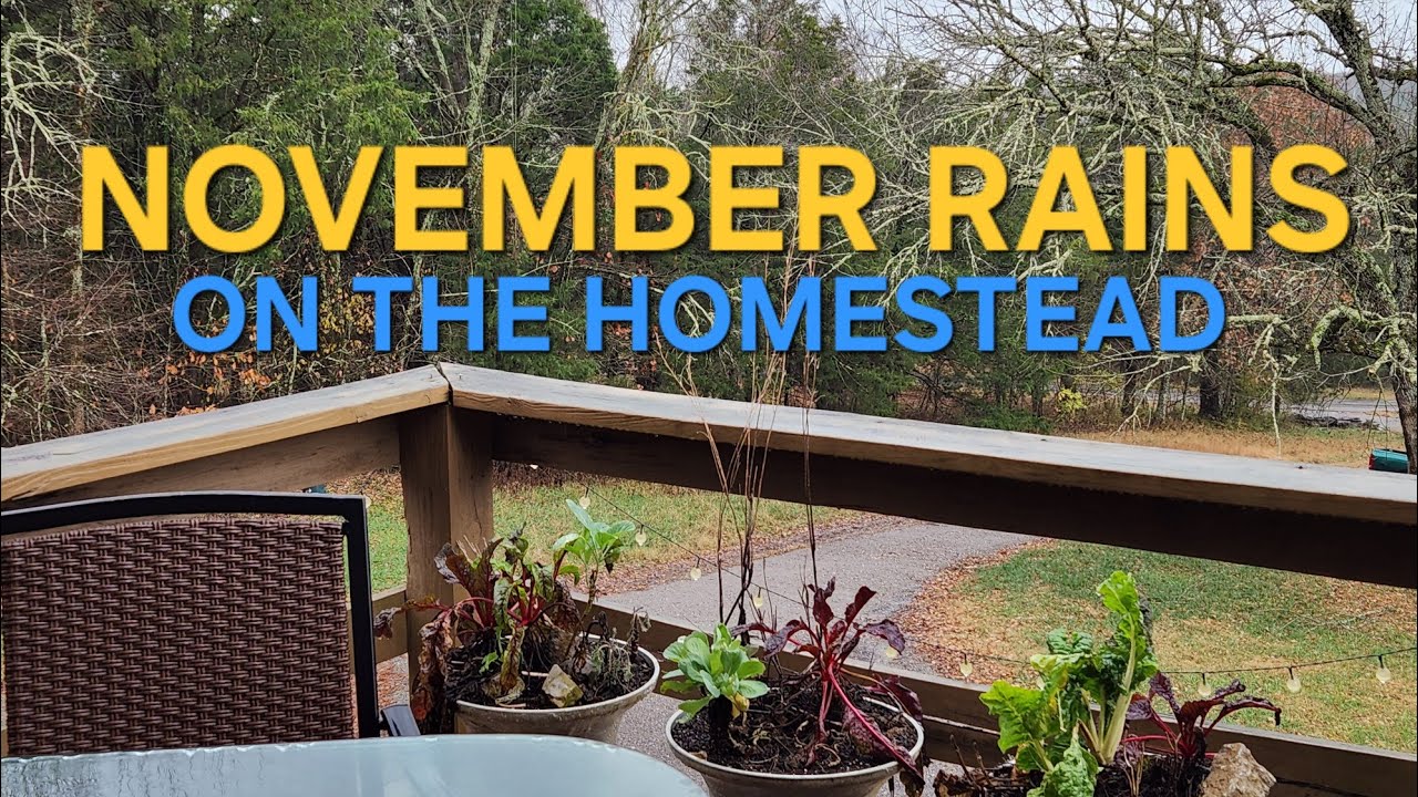 A Rainy Day on The Homestead in Tennessee in November - YouTube