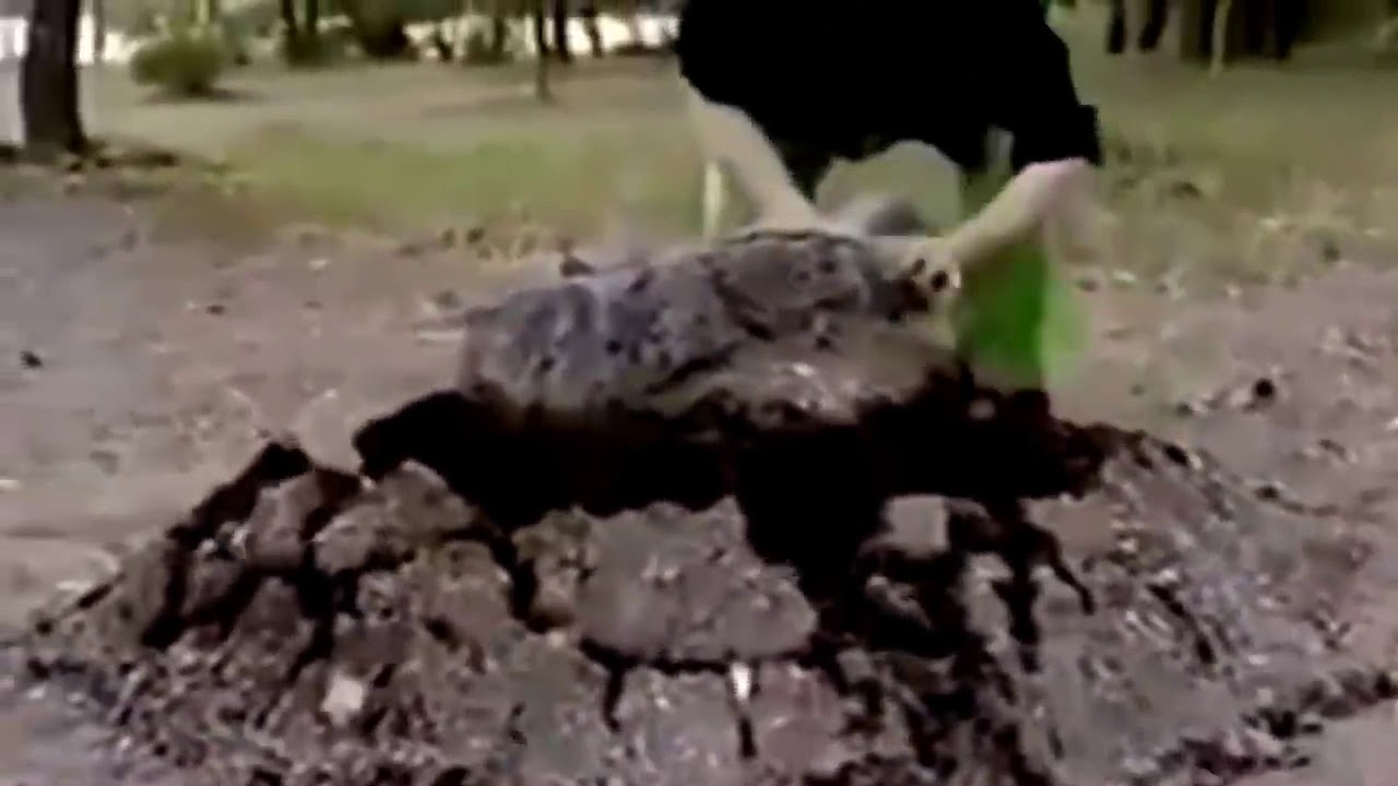 10 People Caught On Camera Using Real Superpowers... incredible ...