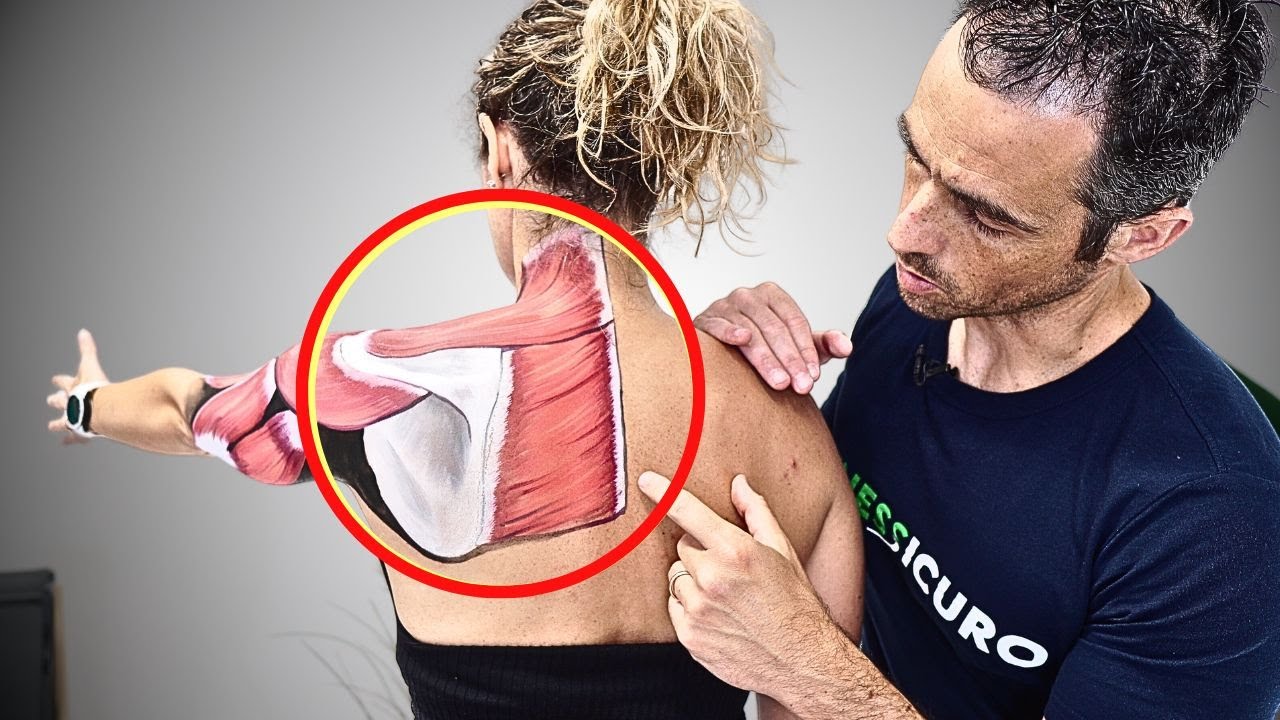 I migliori esercizi di MOBILITÀ della SCAPOLA (migliora postura e ...