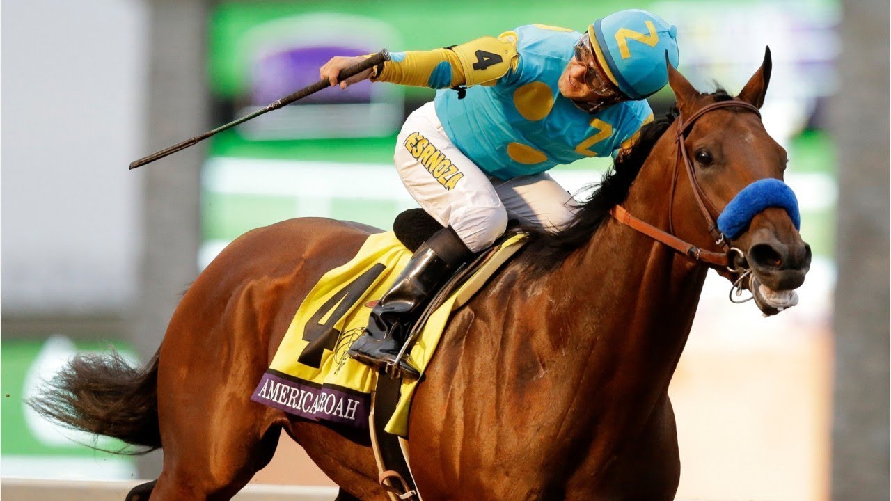 Which horses have won the Triple Crown? - YouTube