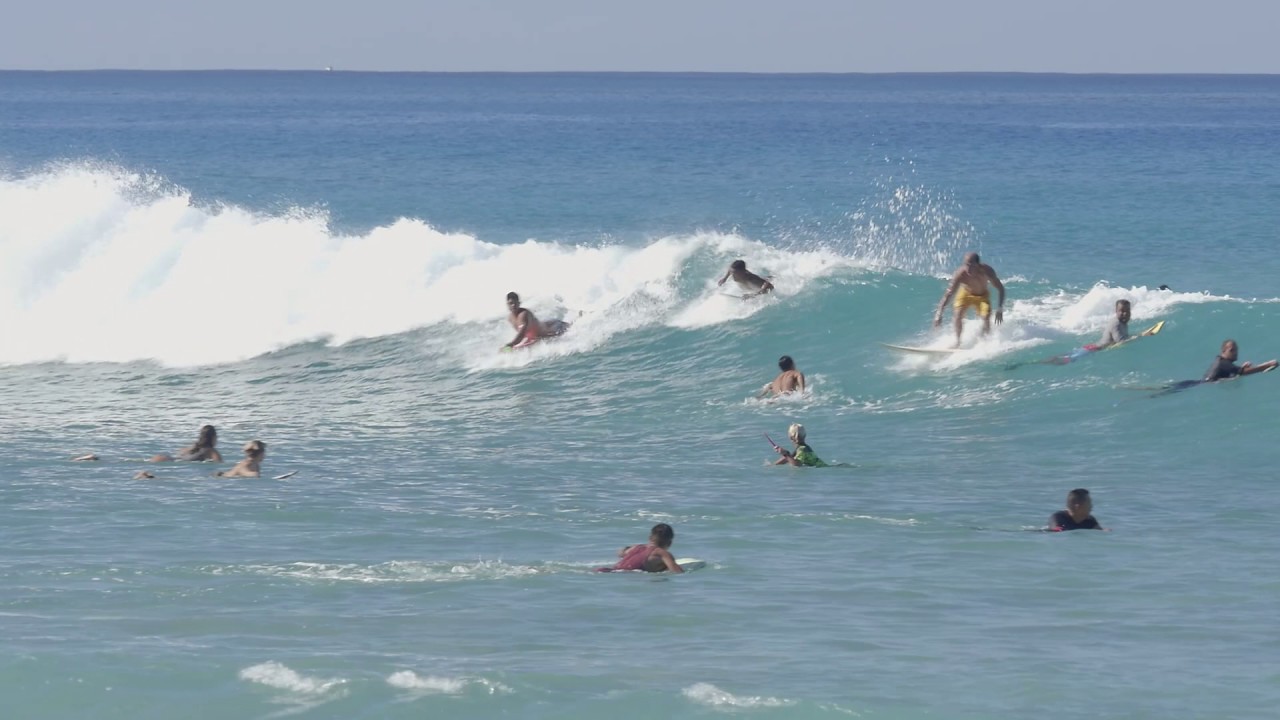 Tracks Morning Surf, (11/11/16) - YouTube