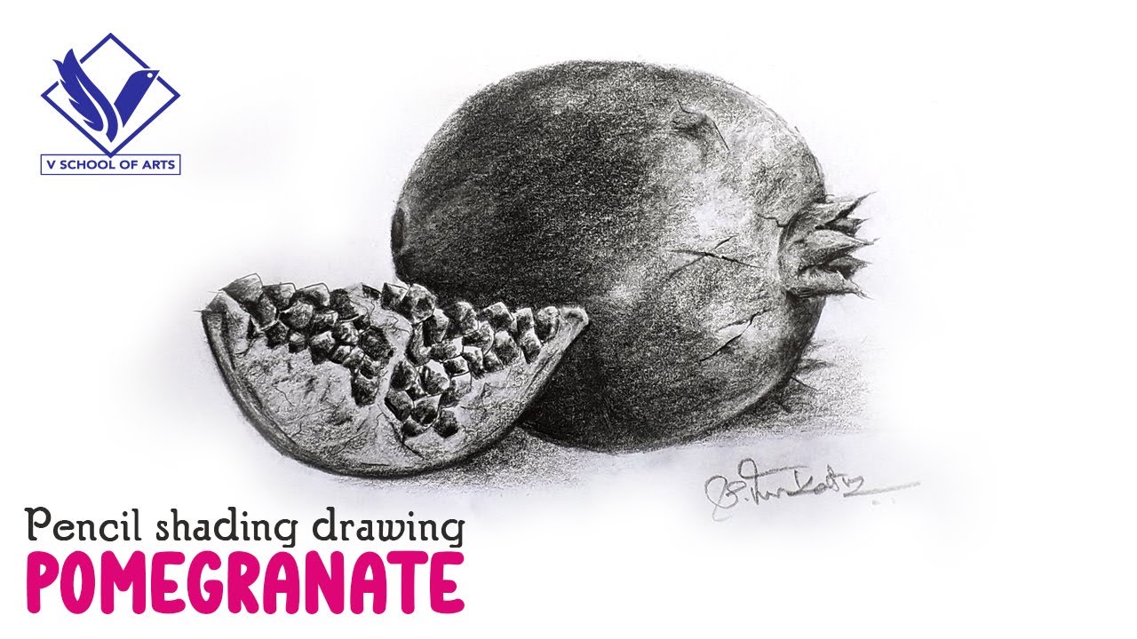 How to draw Pomegranate | Pomegranate Drawing | V school of arts ...