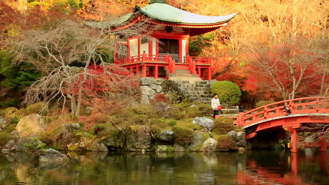 Autumn Buzz at Daigo-ji in Kyoto City! - YouTube
