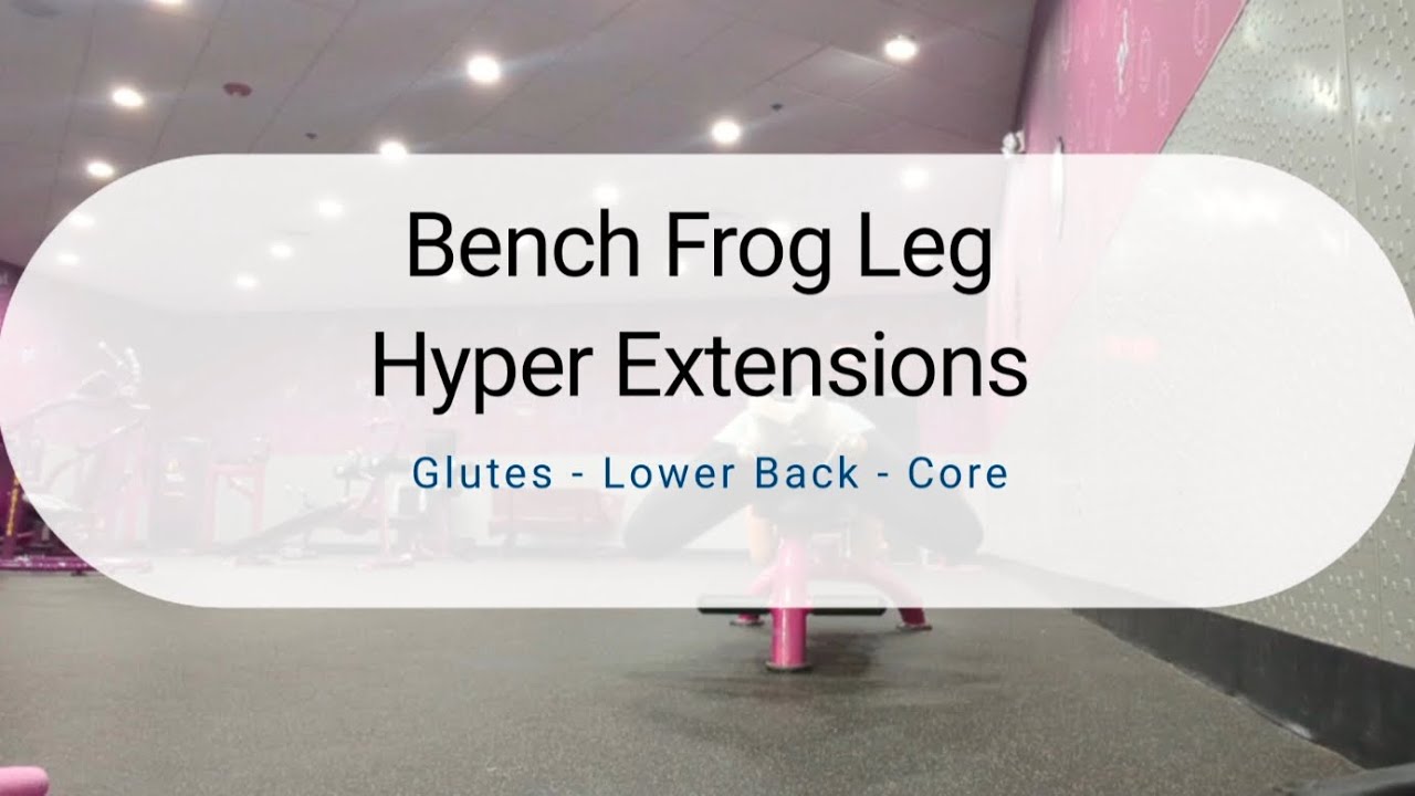 Bench Frog Leg Hyper Extensions - Posterior Chain Warm Up - Glutes ...