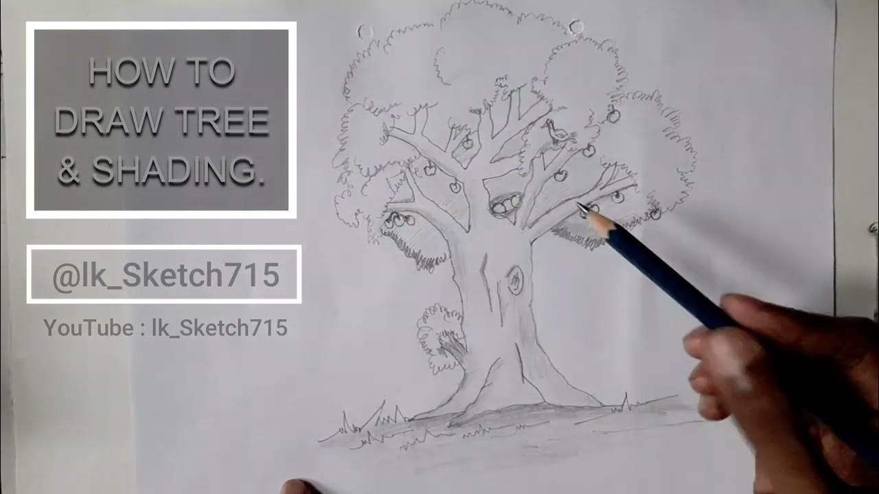 How to Draw Tree, How to Draw Realistic Tree, How to draw a tree simple ...