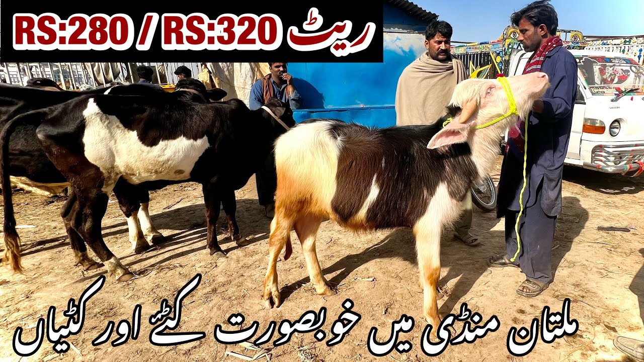 Mandi May Khubsurat: Multan's Enchantment Explored| Multan | Mandi May ...