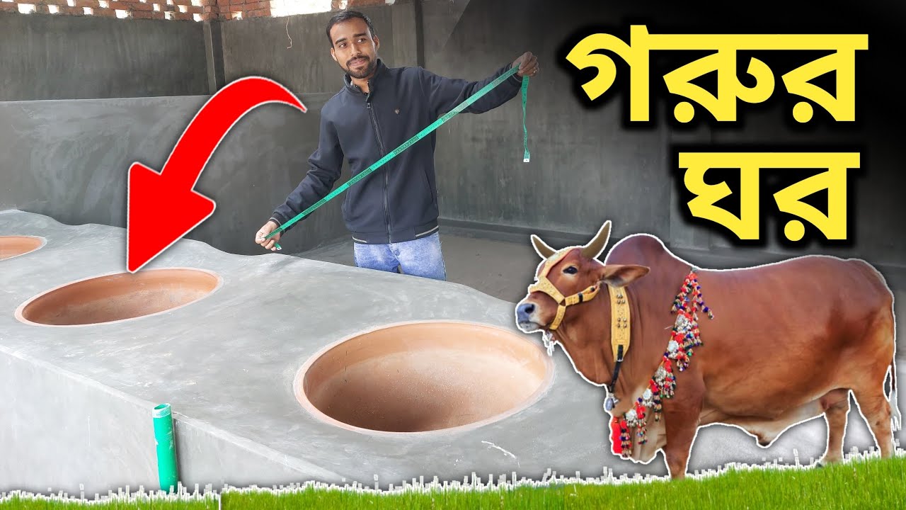গরুর ঘর তৈরি নিয়ম || Gorur Khamar || গরুর খামার কিভাবে করতে হয় ...