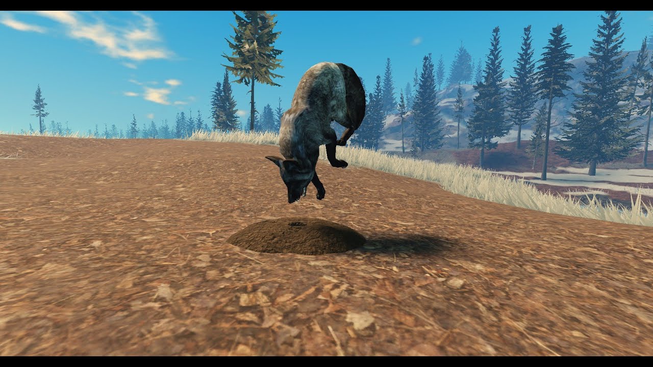 Yellowstone Unleashed Roblox Fox - YouTube