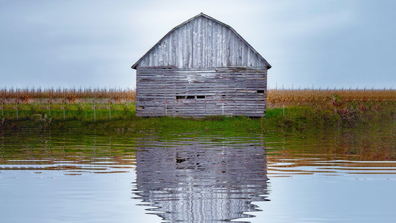 How To Create Realistic Water Reflection With Ripples In Photoshop ...
