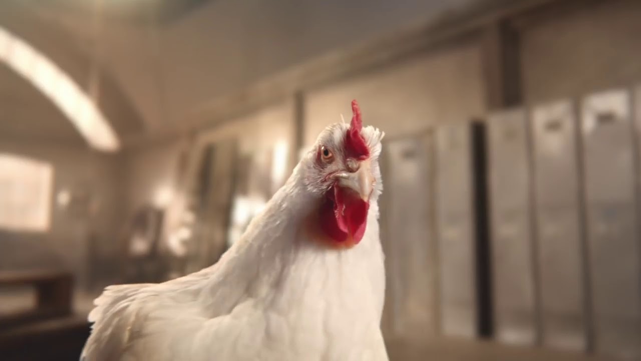The Whole Chicken, Advert for moving image edit 1 - YouTube