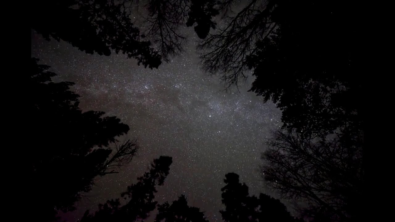 Milky Way Galaxy Time Lapse Through the Trees - YouTube
