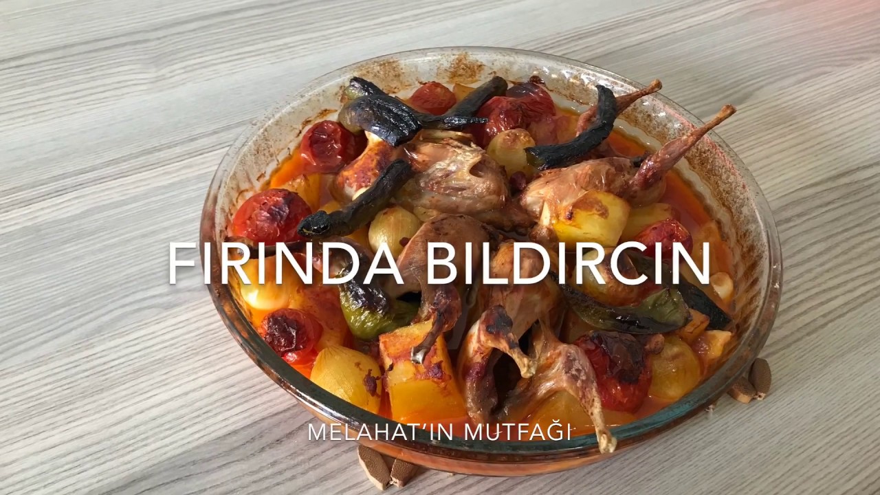 BILDIRCIN TAVA | BILDIRCIN NASIL PİŞİRİLİR? l TEPSİYE DİZ FIRINA AT l ...