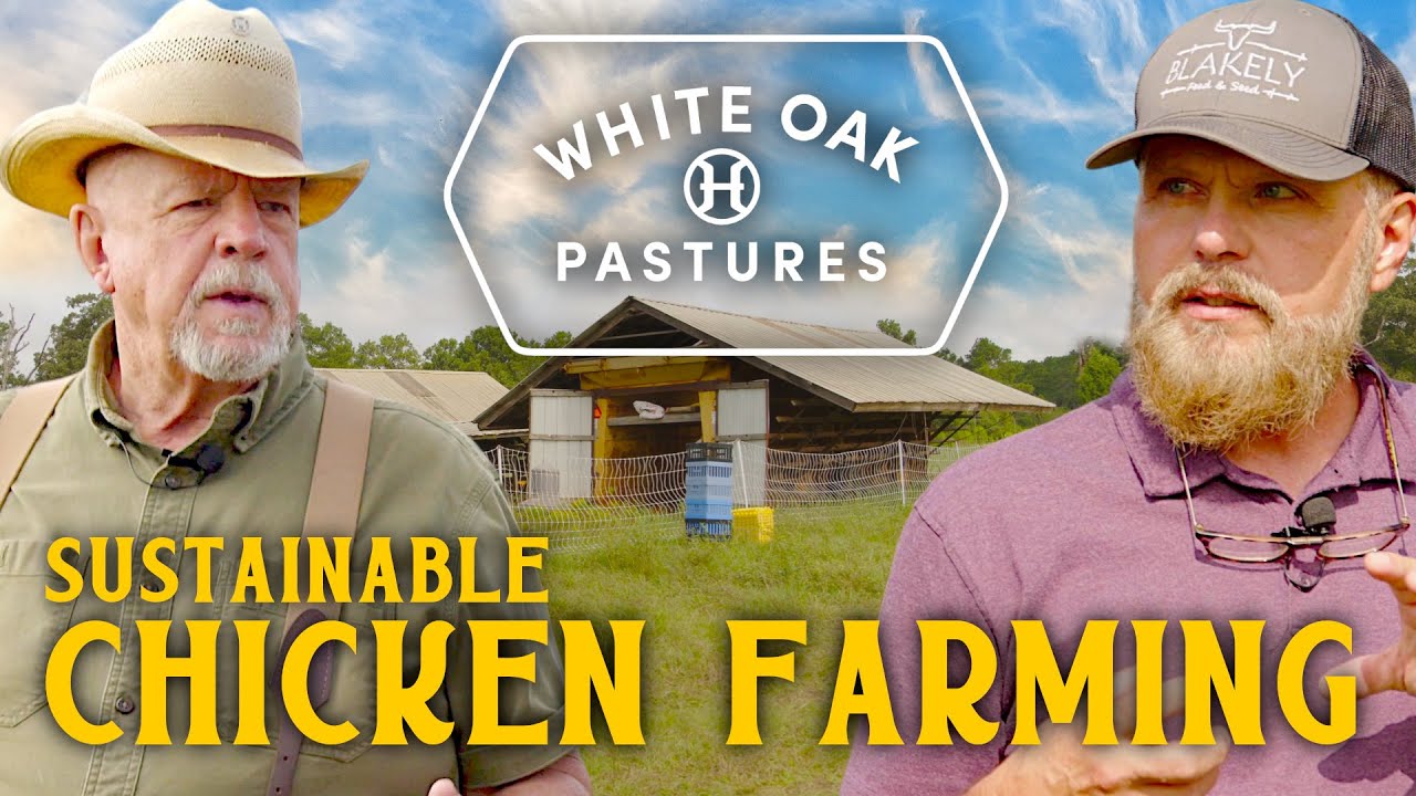 Regenerative Chicken Farming | Ep. 3 | White Oak Pastures - YouTube