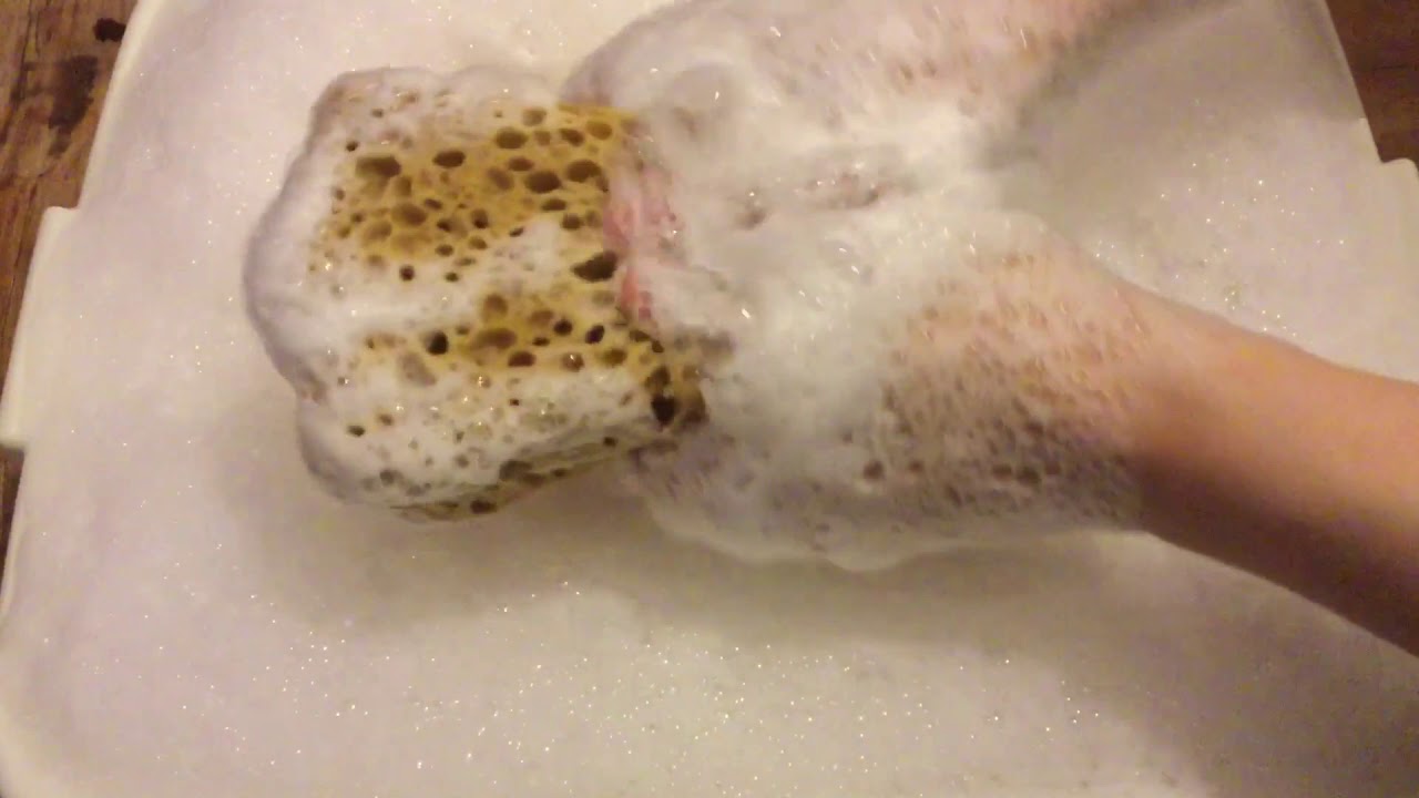ASMR Car sponges with yellow & white Cif cream, overflowing suds ...