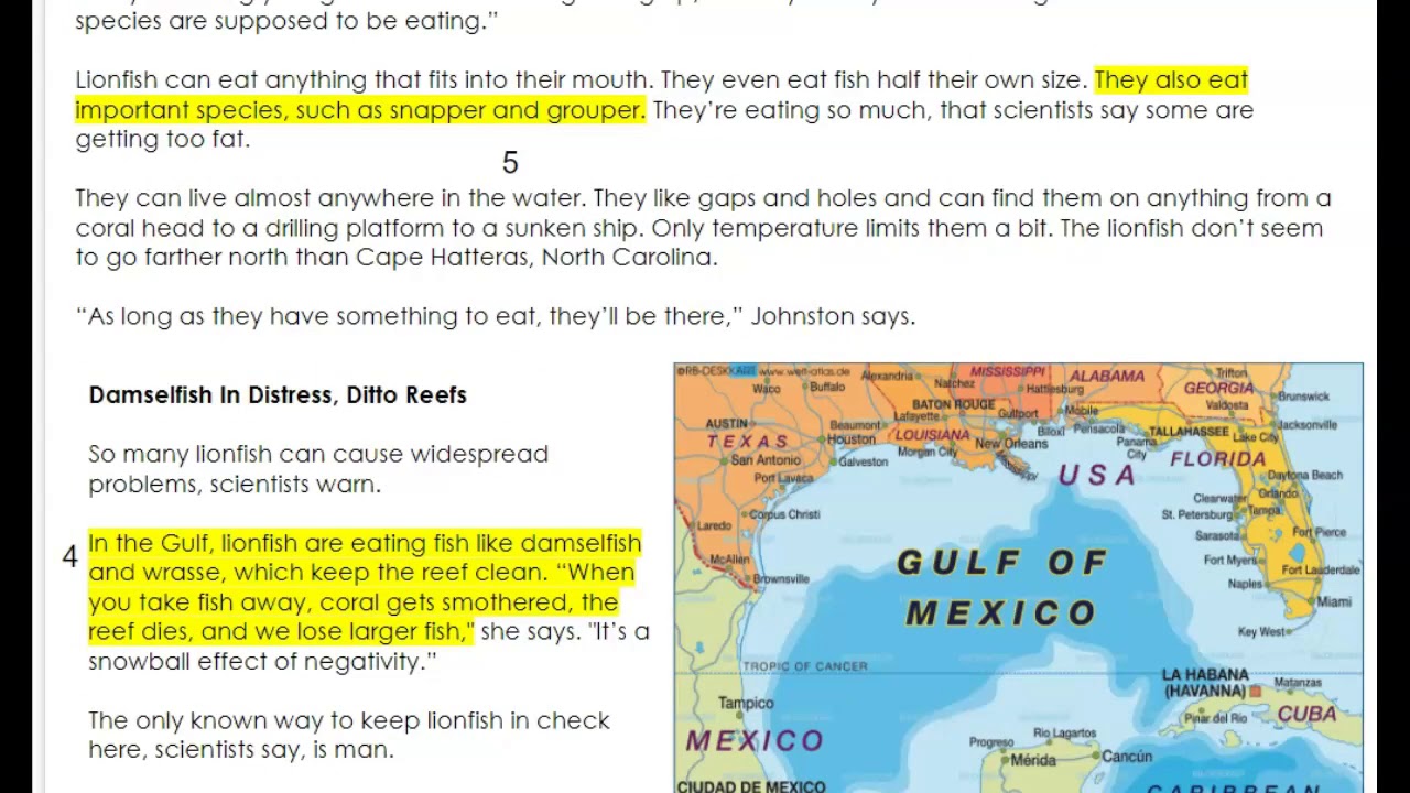 TDA Graphic Organizer Body Paragraphs Lionfish - YouTube