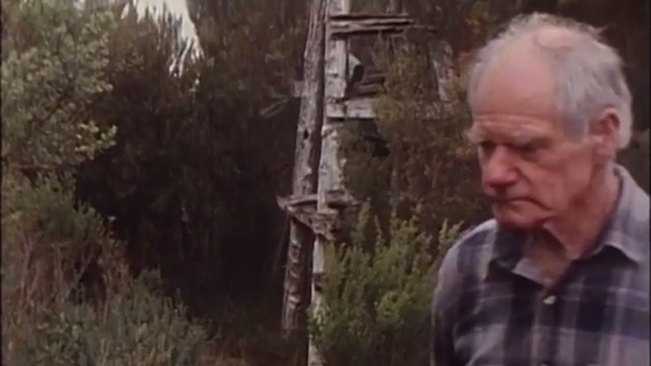 Deny King in Melaleuca, 1988 - YouTube
