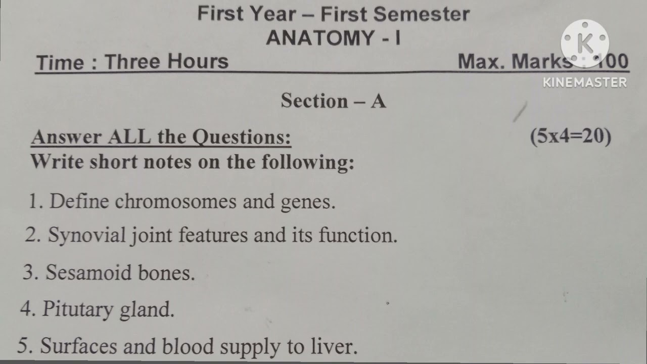 BPT 1st Year Anatomy Question Paper Nov 2022 YouTube BPT 1st Year Anatomy Question Paper Nov 2022 YouTube