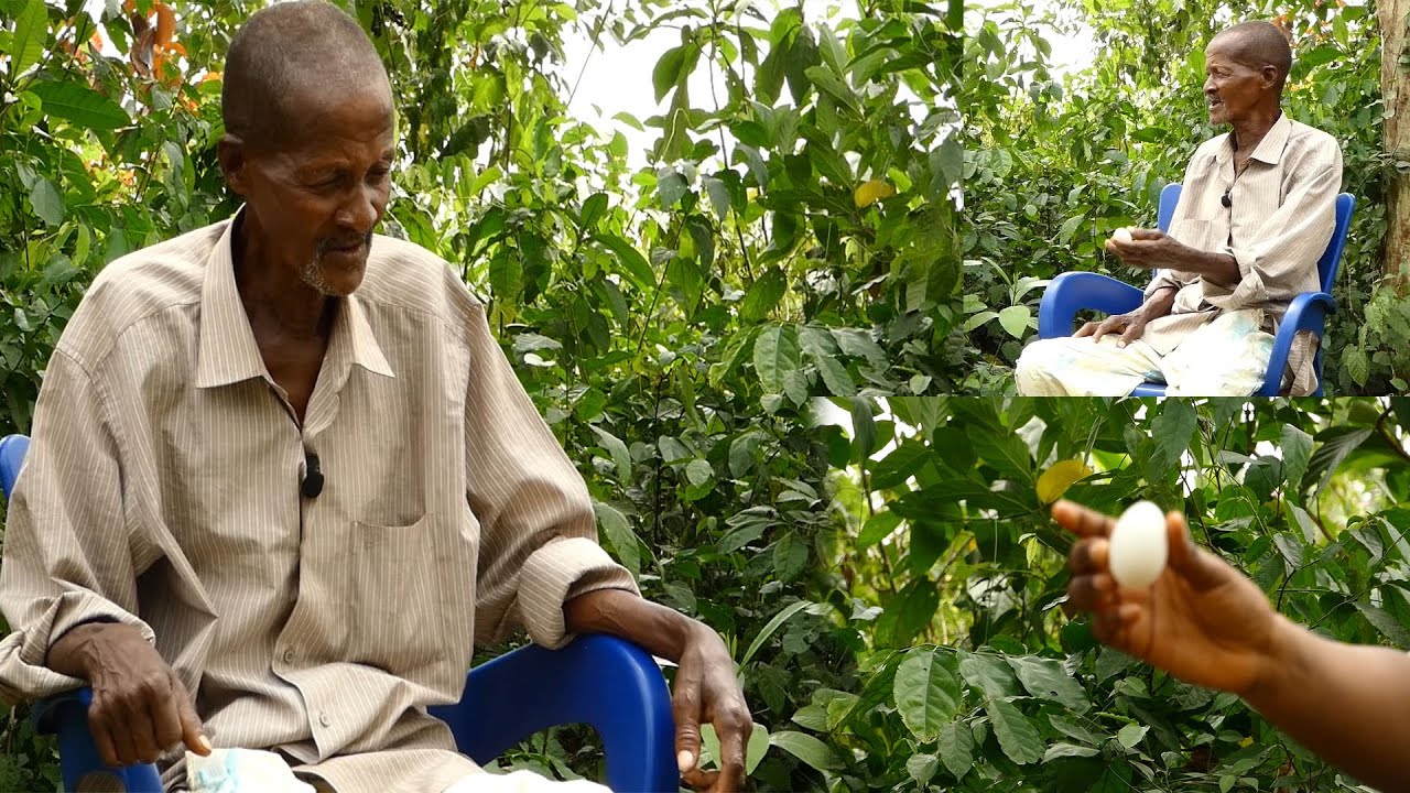 Old man teaches how he uses herbs for healing and why he put egg on ...