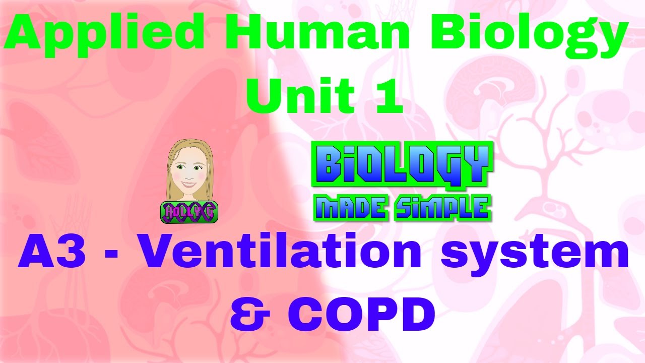 BTEC Applied Human Biology Unit 1 A3 The ventilation system and COPD ...