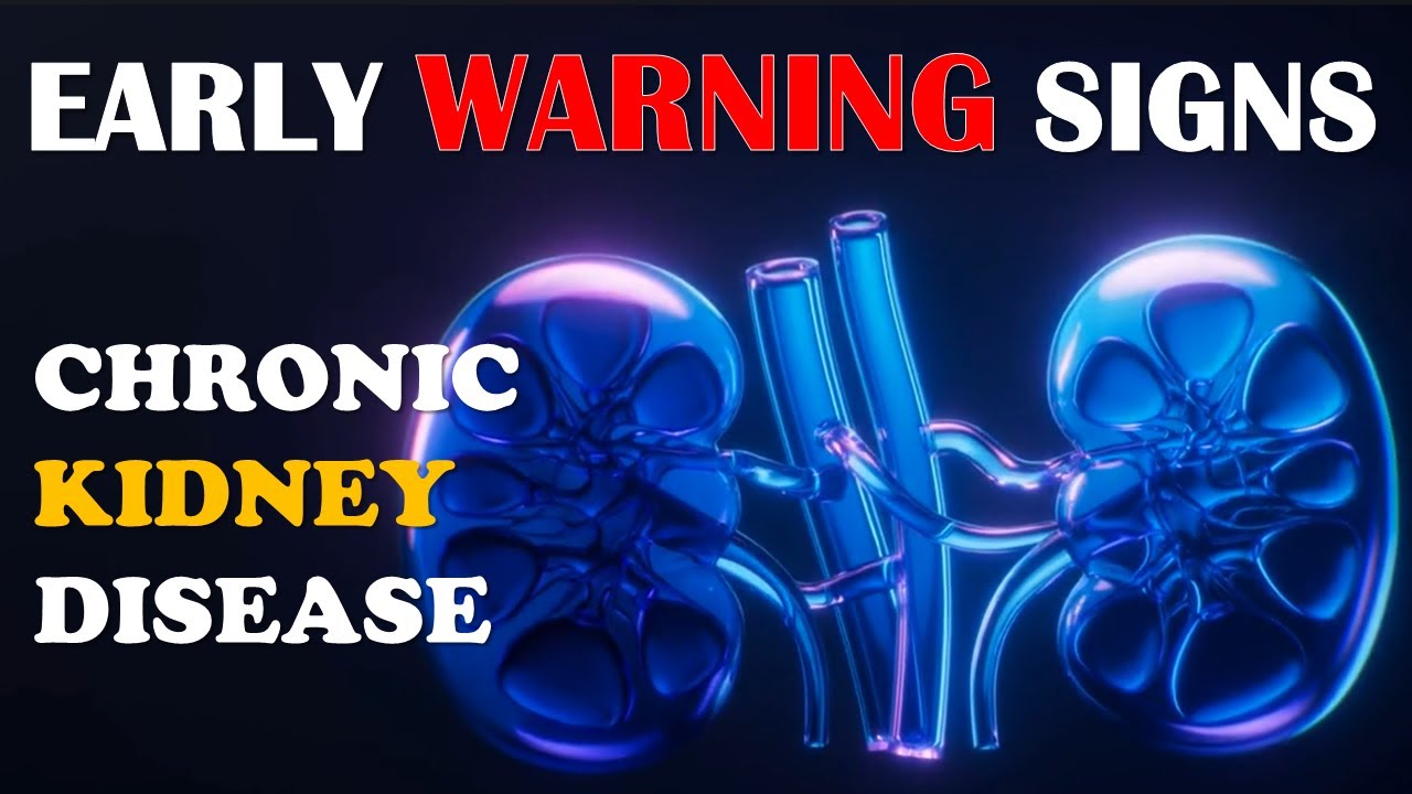 Indicators of Kidney Toxicity: Be Aware of These Signs - YouTube