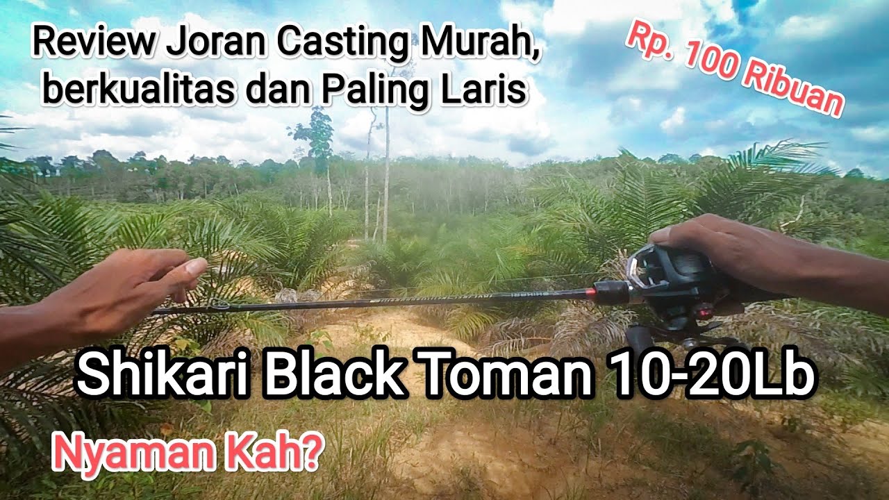 Review Joran Casting Shikari Black Toman 10-20Lb untuk casting Gabus ‼ ...