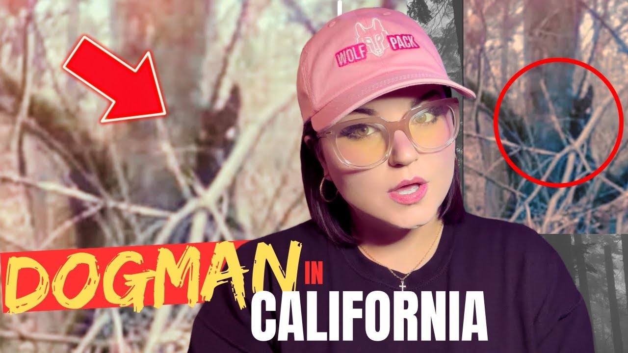 5 DOGMAN SIGHTINGS from CALIFORNIA| BEST and SCARIEST Evidence - YouTube