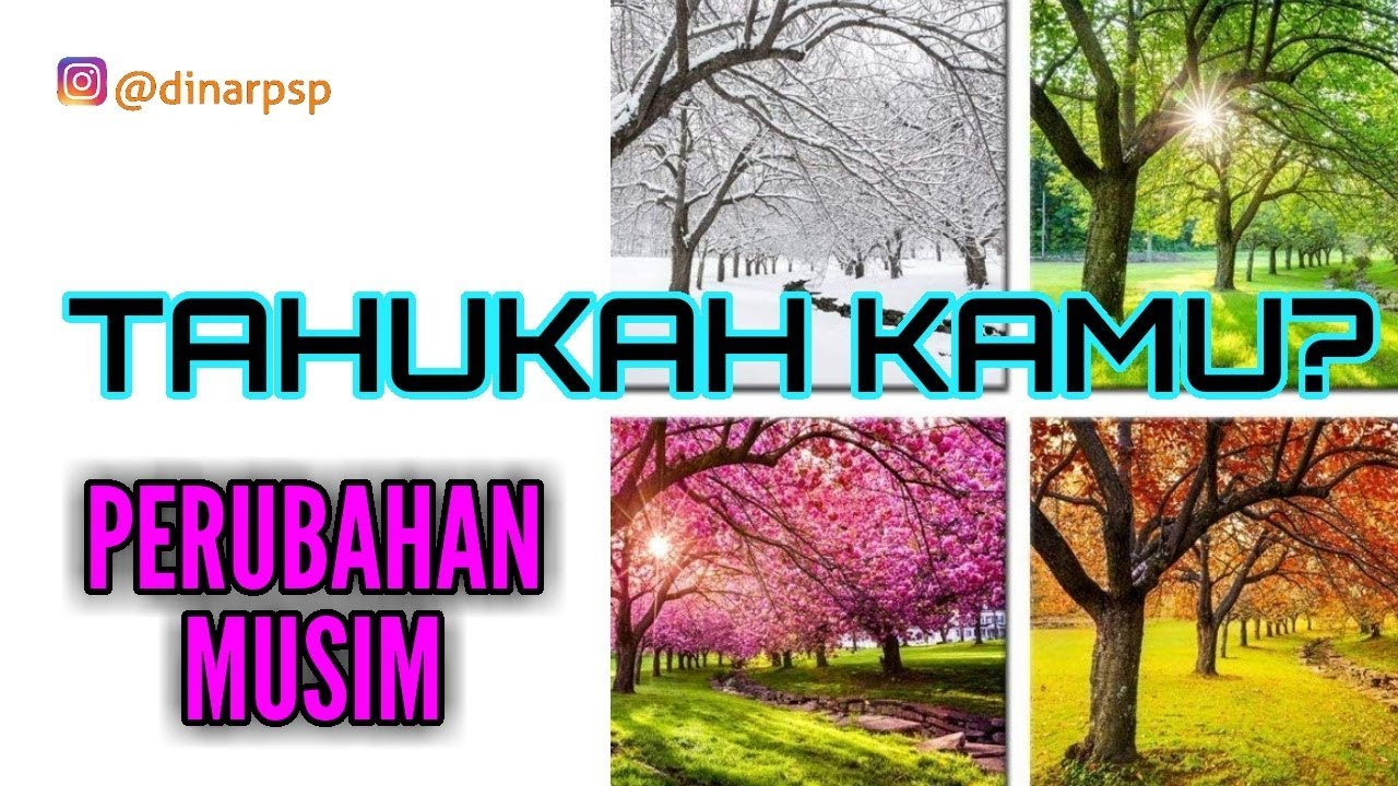 TAHUKAH KAMU? | 4 MUSIM | GOOD TO KNOW. - YouTube