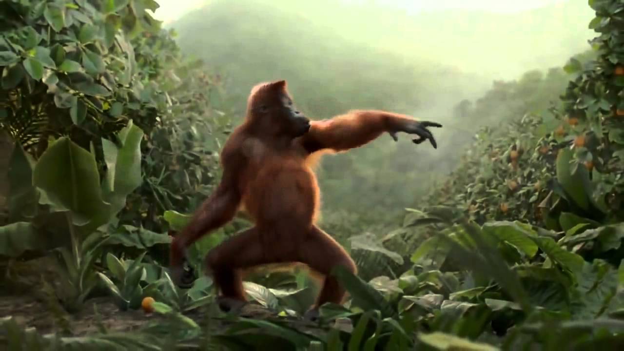 Funniest Orangutan with the Best Dance Moves Ever! - YouTube