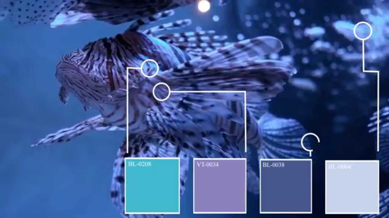 Al-Jazeera Novel "Color Scheme 4" - YouTube