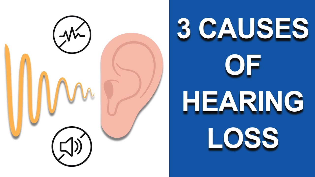 3 Main Causes of HEARING LOSS & How To Treat It! 🔊👂 - YouTube