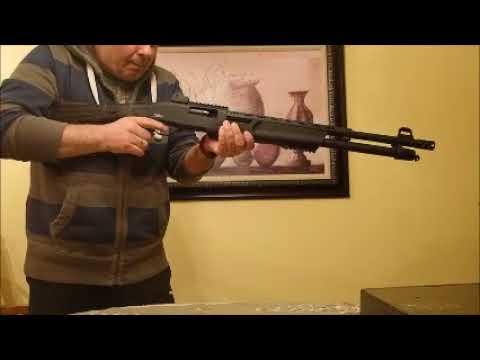Pallas Shotguns