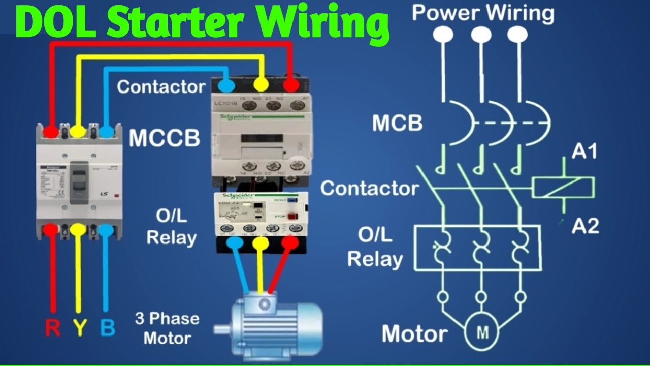 Power Wiring Connection of DOL Starter With 3d Animation || DOL Starter ...