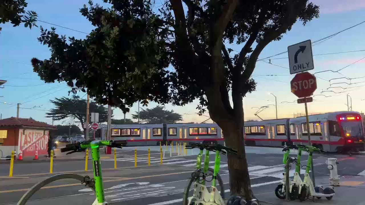 Roy Explores San Francisco Monday March 24 - YouTube