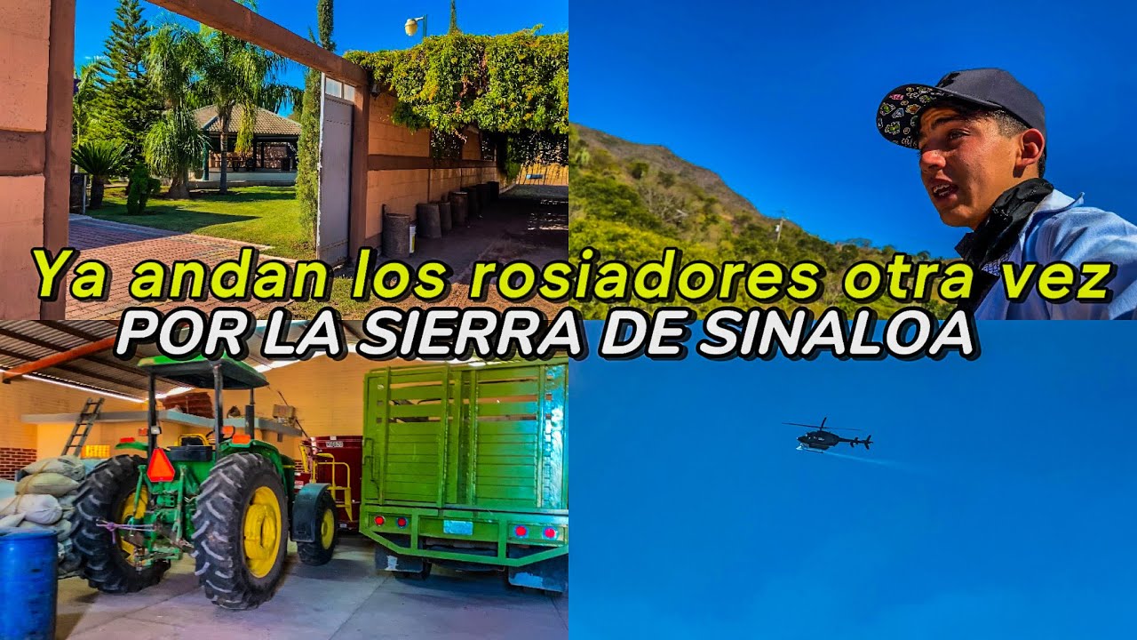 VOLVIERON LOS HELICÓPTEROSAL TRIÁNGULO DORADO /POR LA SIERRA DE SINALOA ...