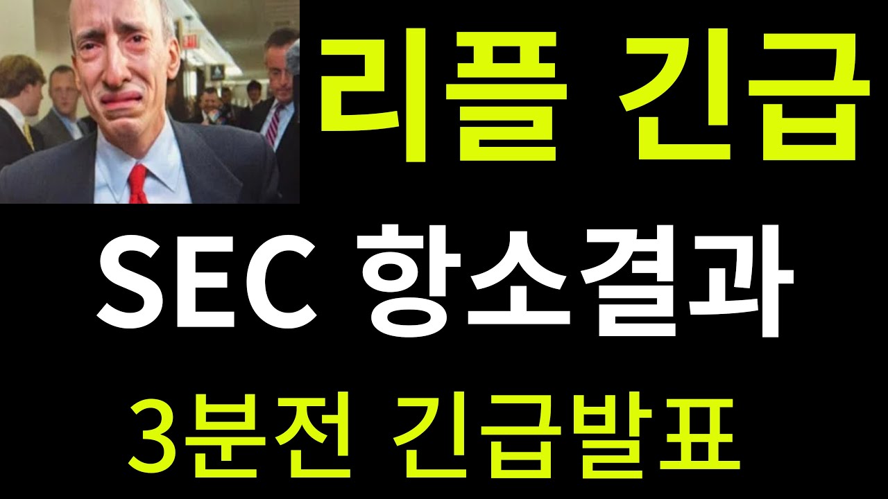 리플 드디어 항소결과 나왔다 충격적이네요 리플 리플코인 리플코인전망 리플전망 Xrp 리플etf 리플실시간